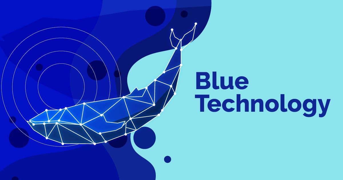 Blue Technology and Renewable Energies | IPPO Engineering