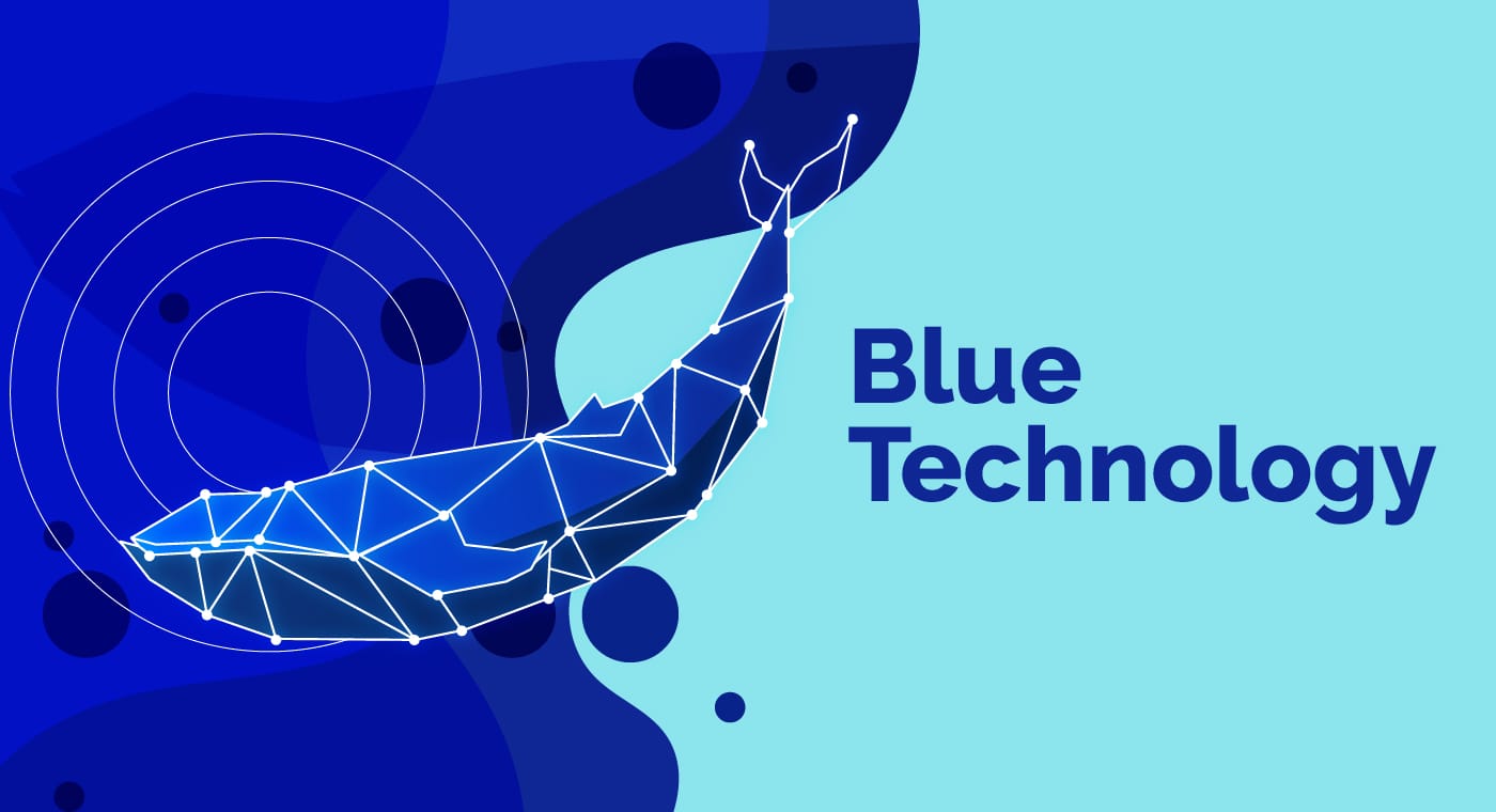 Blue Technology e Energie Rinnovabili | IPPO Engineering