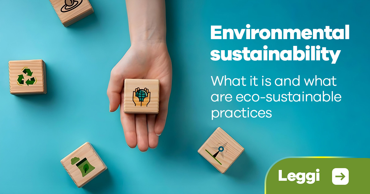 Environmental sustainability: why it matters in the 20s