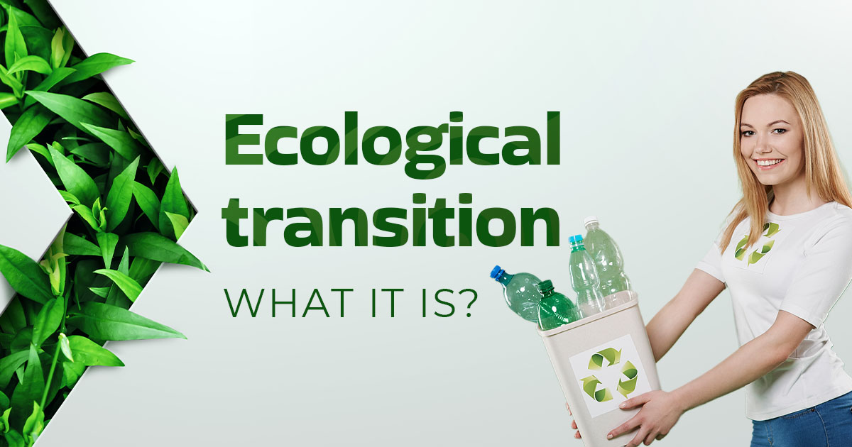 Ecological transition: what it is and why it is needed now