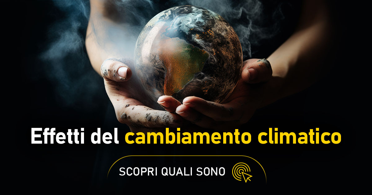 Quali sono gli effetti del cambiamento climatico? Scoprilo